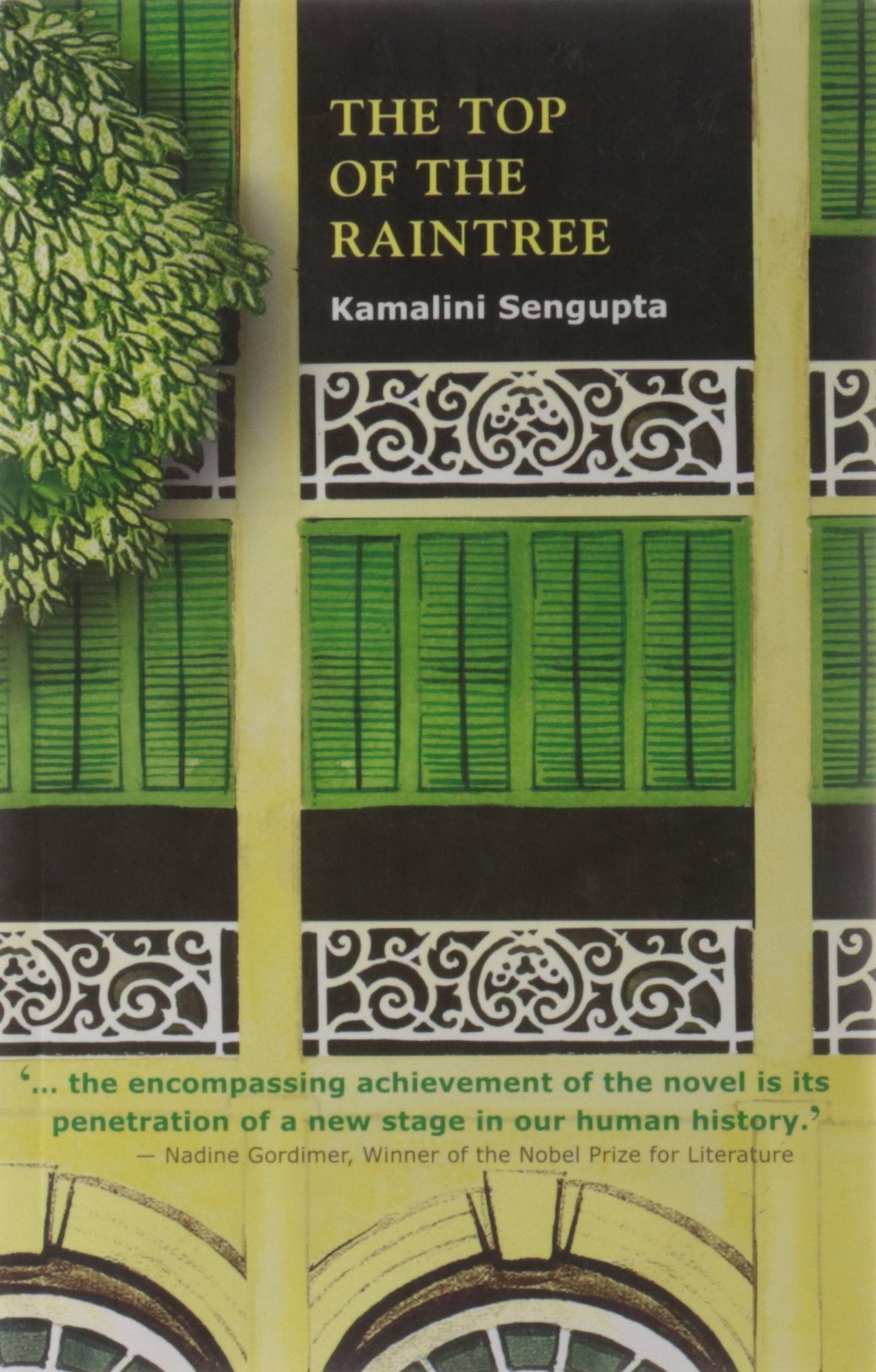 The Top Of The Raintree - Roli Books